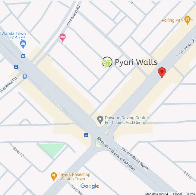 Our Outlets 📍 – Pyari Walls