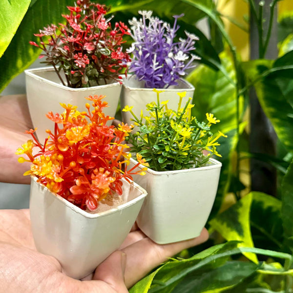 Set of 4 Mini Cute plants – Pyari Walls