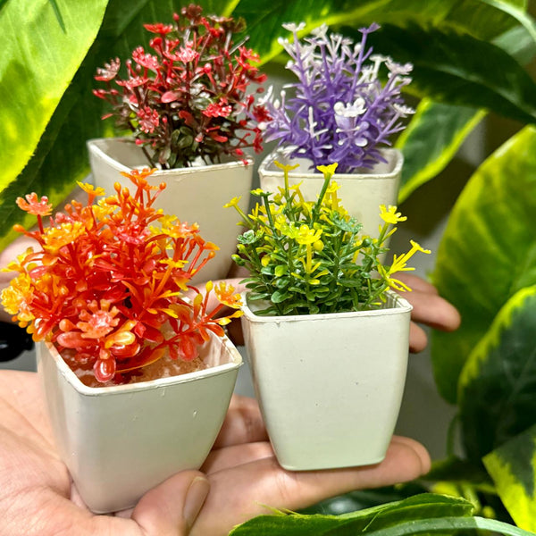 Set of 4 Mini Cute plants – Pyari Walls